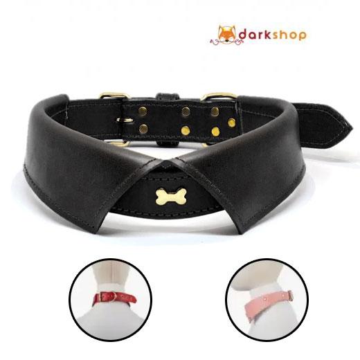 Premium Adjustable Dog Collar Online